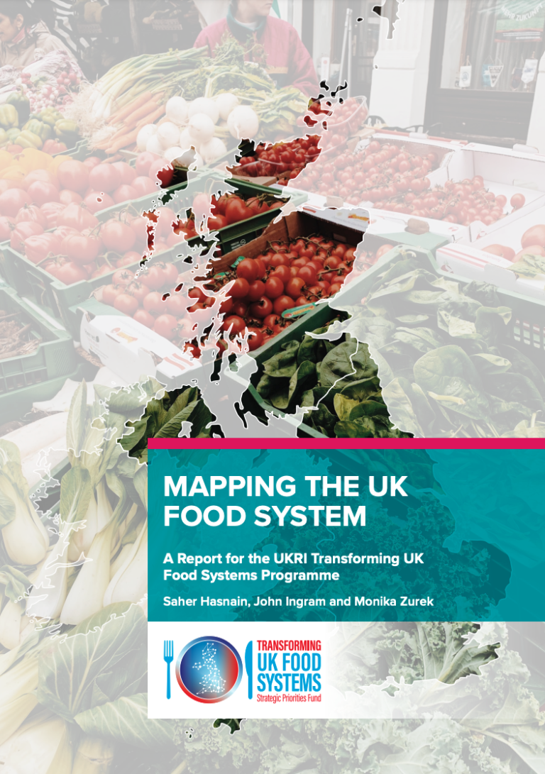 Mapping the UK Food System - Transforming UK Food Systems
