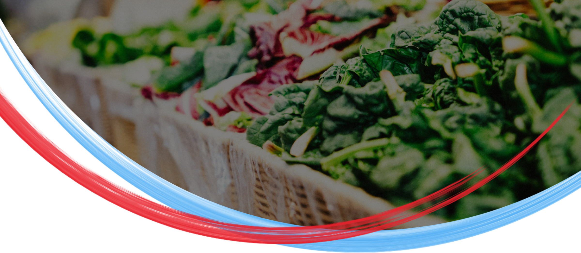 Home - Transforming UK Food Systems