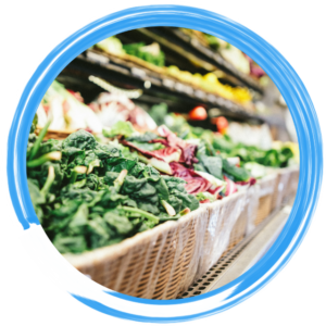 About the Programme - Transforming UK Food Systems