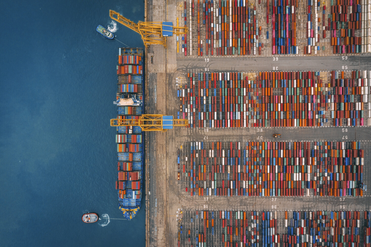 New project to transform the UK food system through trade ...